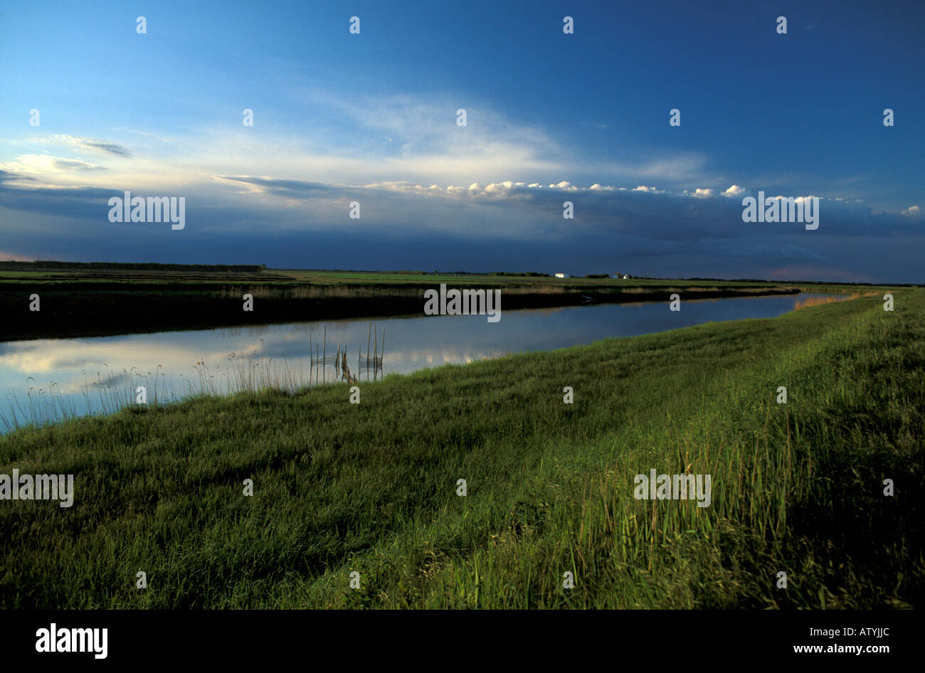 Argine hi-res stock photography and images - Alamy