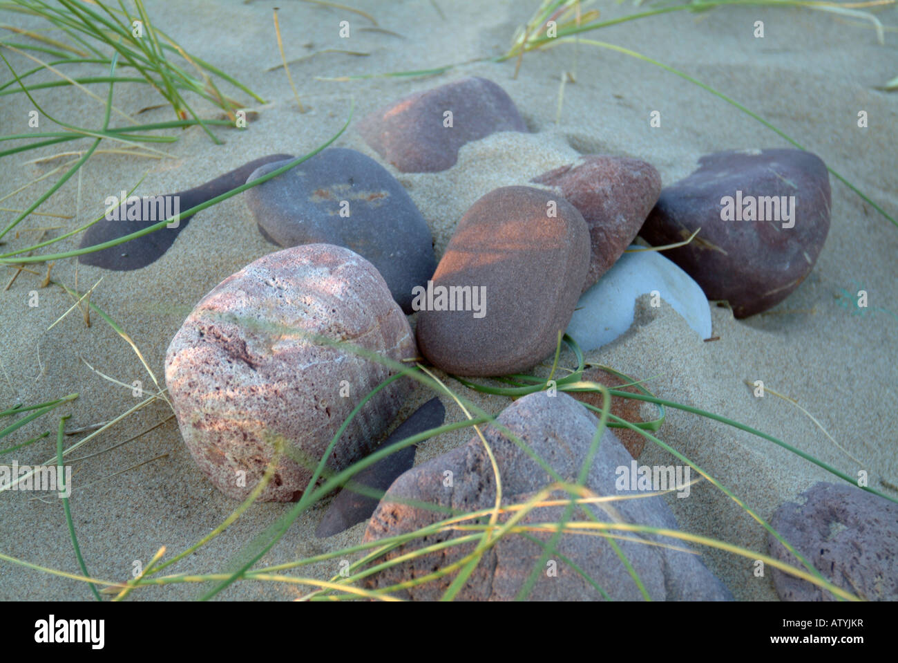 Rocks on a beach Stock Photo - Alamy