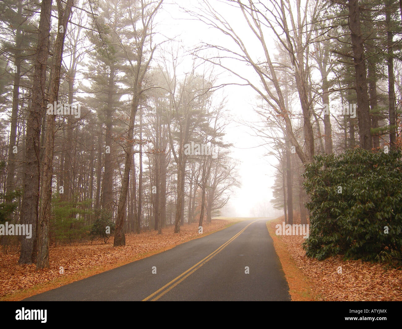 AJD59800, Blue Ridge Parkway, fog, Galax, Virginia, VA Stock Photo - Alamy