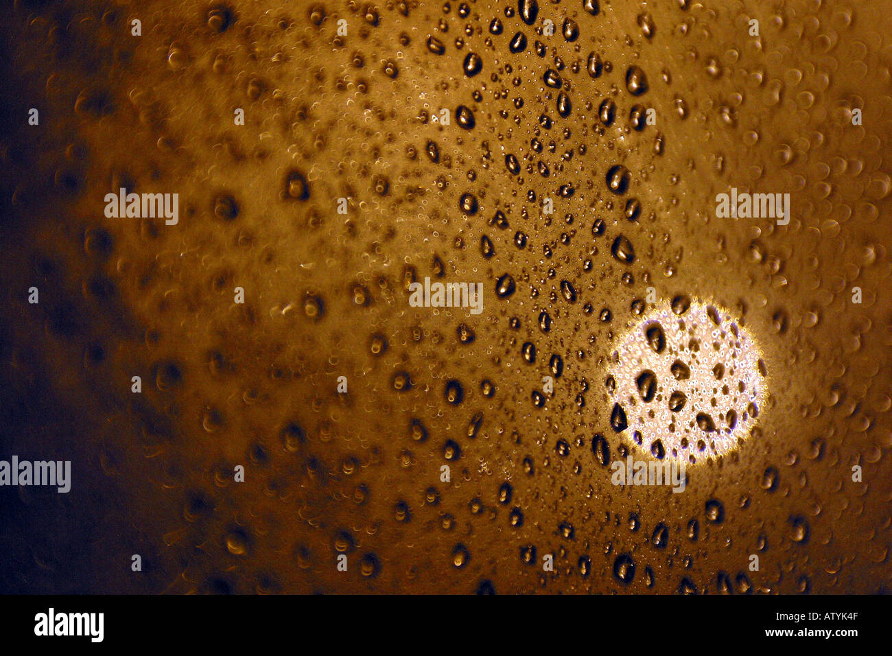 water droplets on a window pane at night Stock Photo - Alamy