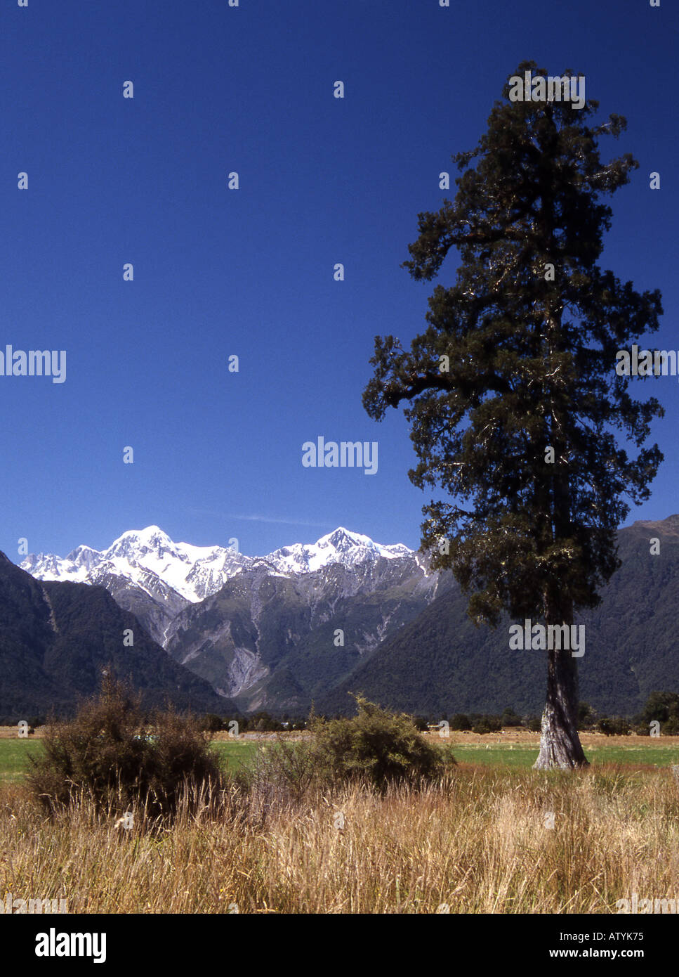 Mount Cook and Mount Tasman viewed from the flood plain of the Cook ...