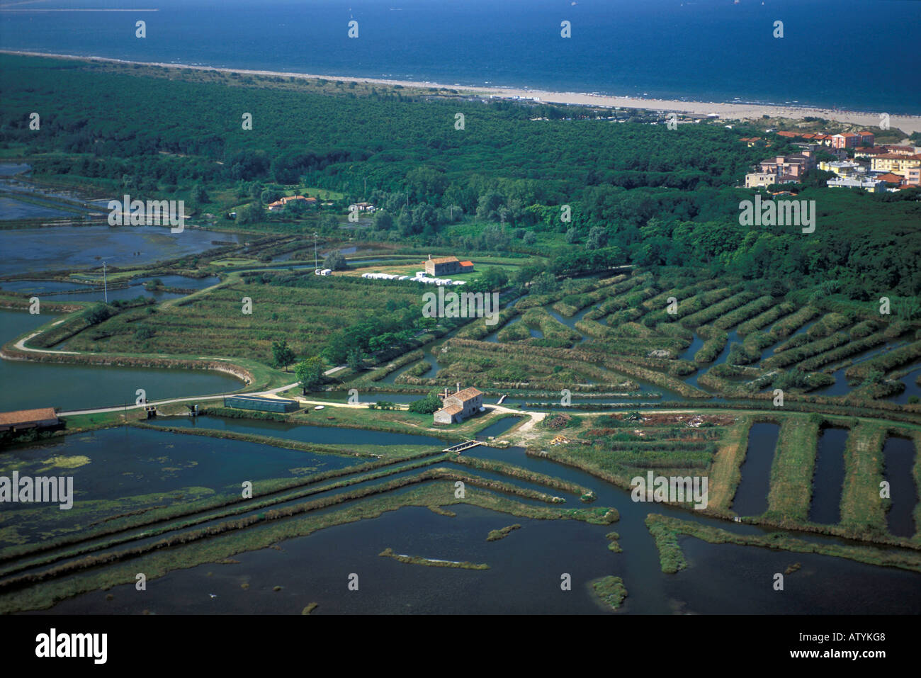 Rosapineta hi-res stock photography and images - Alamy