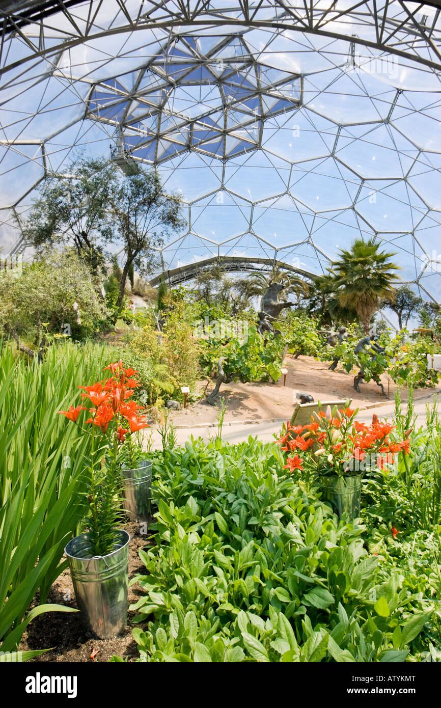 The Mediterranean (Warm Temperate) Biome at the Eden Project, Cornwall ...