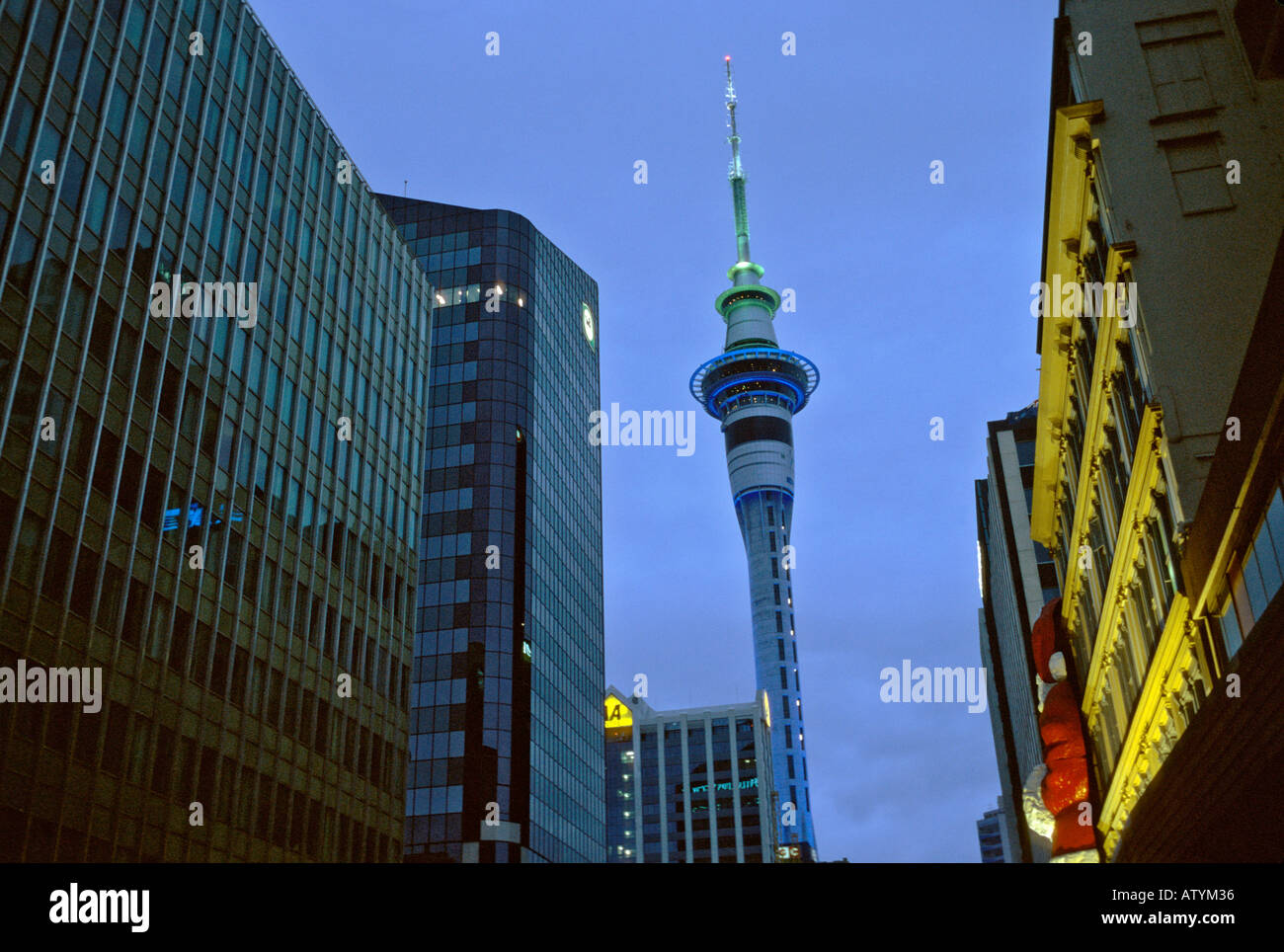 View of Sky Tower at night At 328 meters it is the tallest tower in the ...