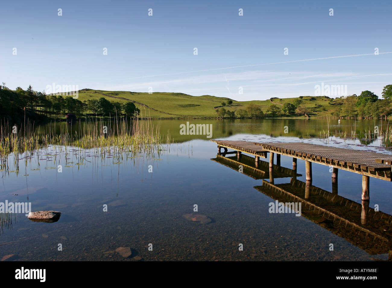 Swimming tarn lake district hi-res stock photography and images - Alamy