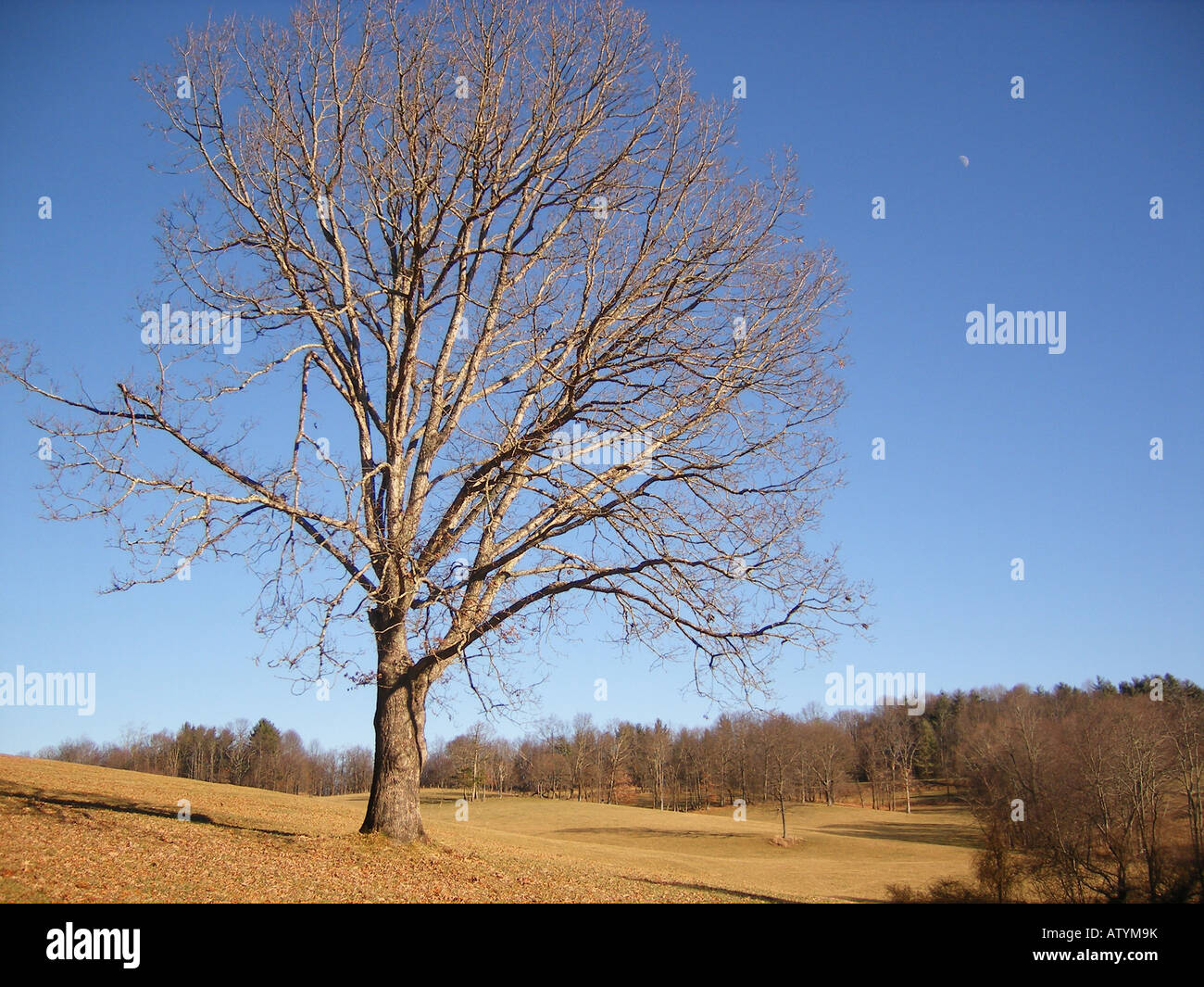 Virginia Field High Resolution Stock Photography and Images - Alamy