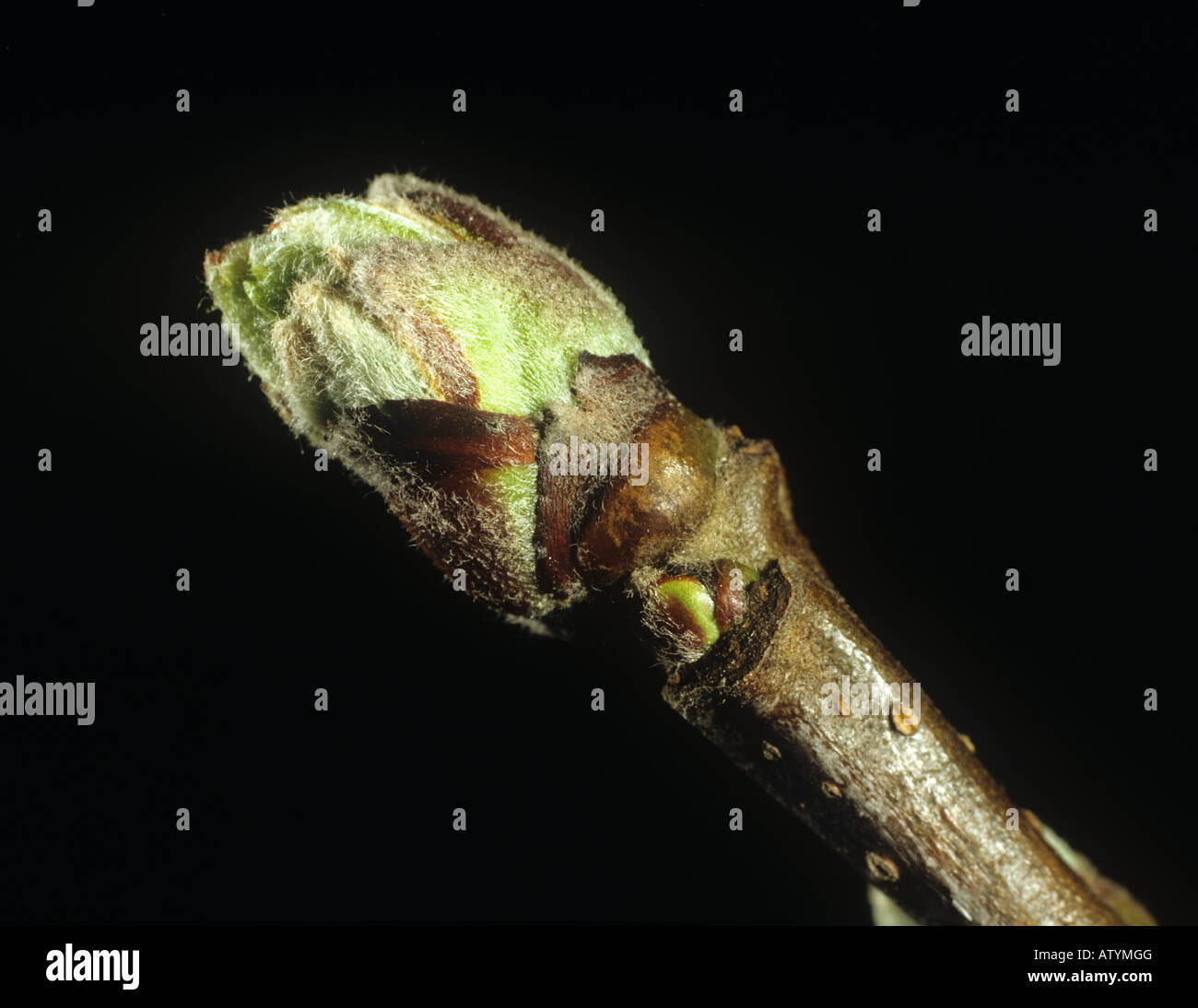 Opening agriculture hi-res stock photography and images - Alamy