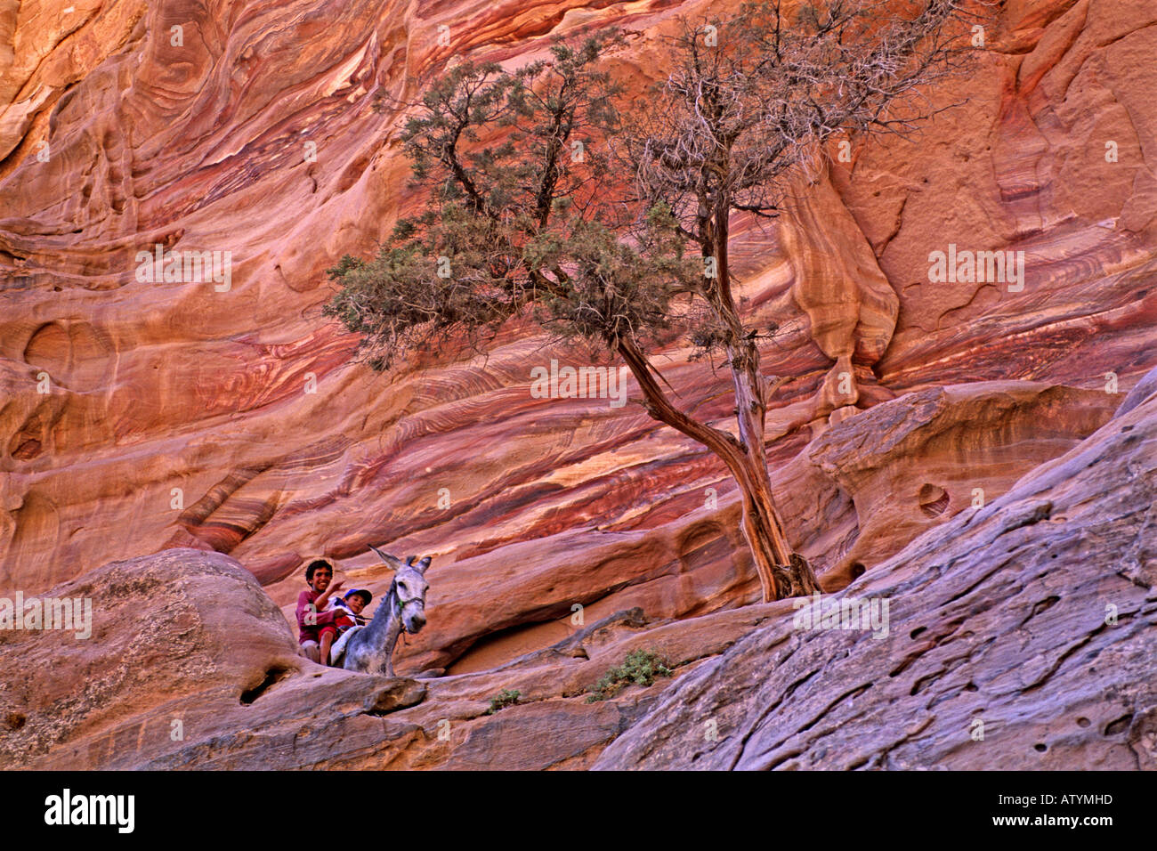 Steps to Al Deir monastery Petra Jordan Middle East Stock Photo - Alamy