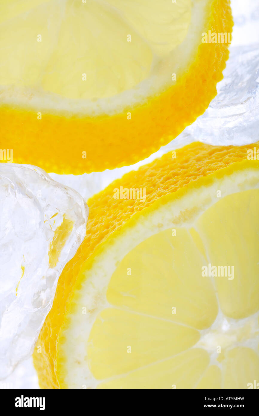 freshly sliced lemons packed in ice Stock Photo - Alamy