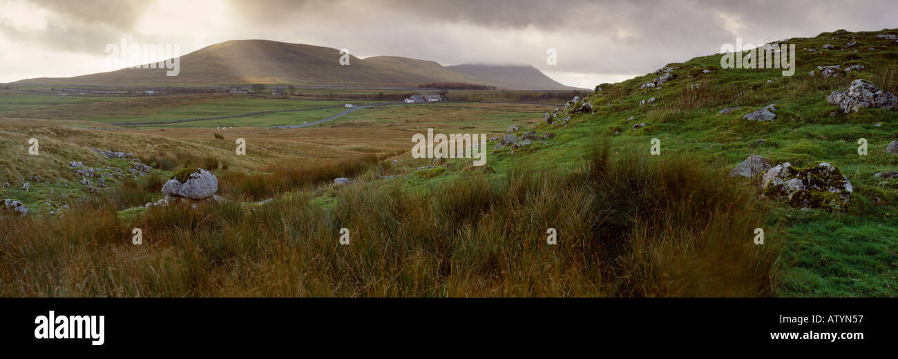 G batty hi-res stock photography and images - Alamy