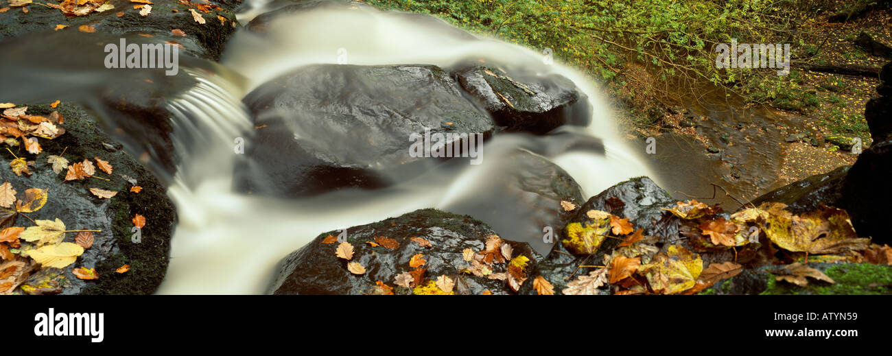 Top of Falling Foss waterfall Sneaton Wood North York Moors National ...