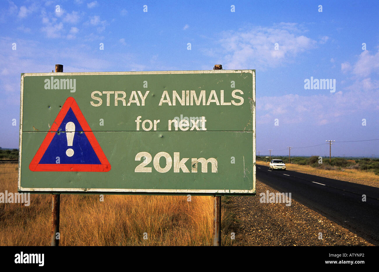 Animals on Road warning sign Stock Photo - Alamy