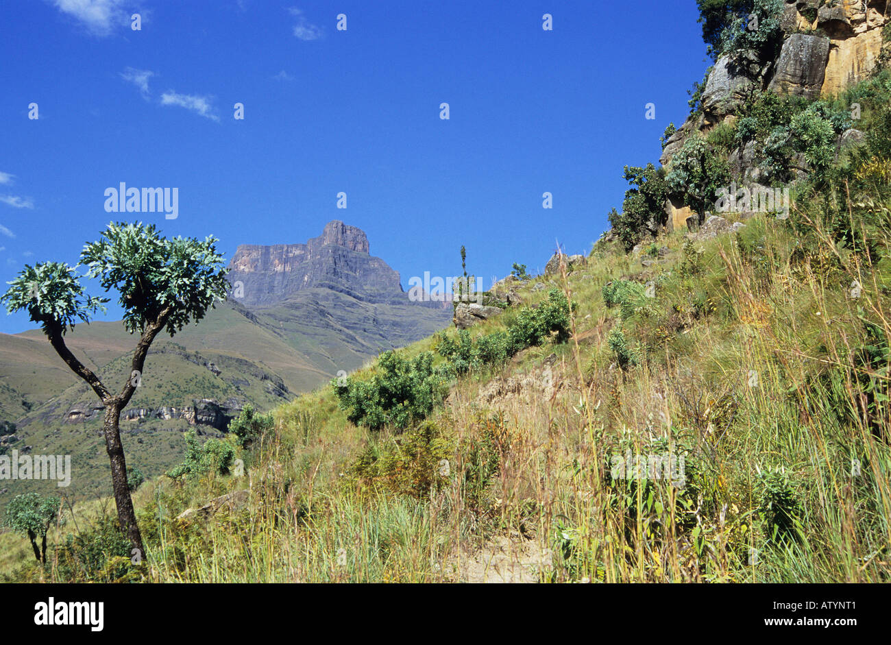 uKhahlamba Drakensberg Park Tugela Gorge Stock Photo - Alamy