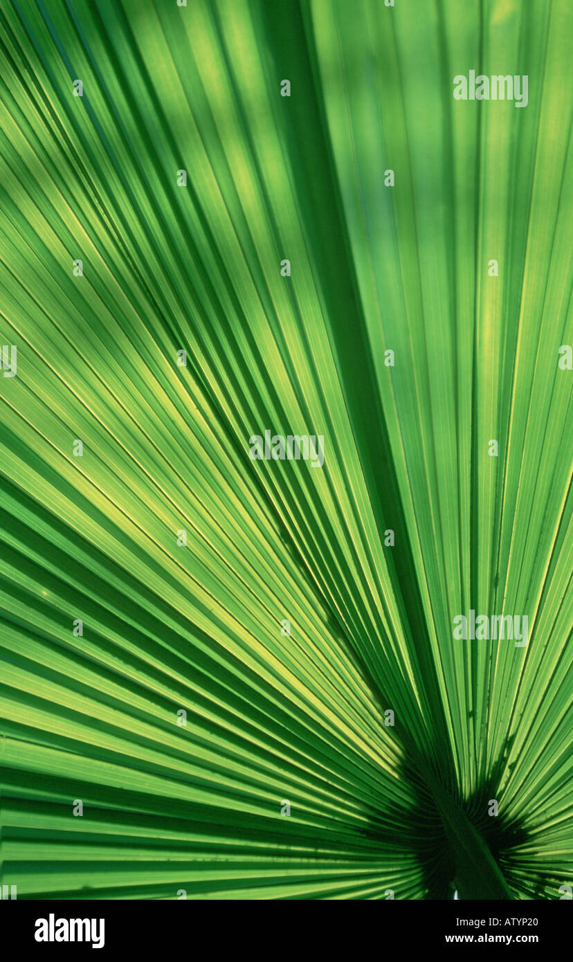 Linear section hi-res stock photography and images - Alamy