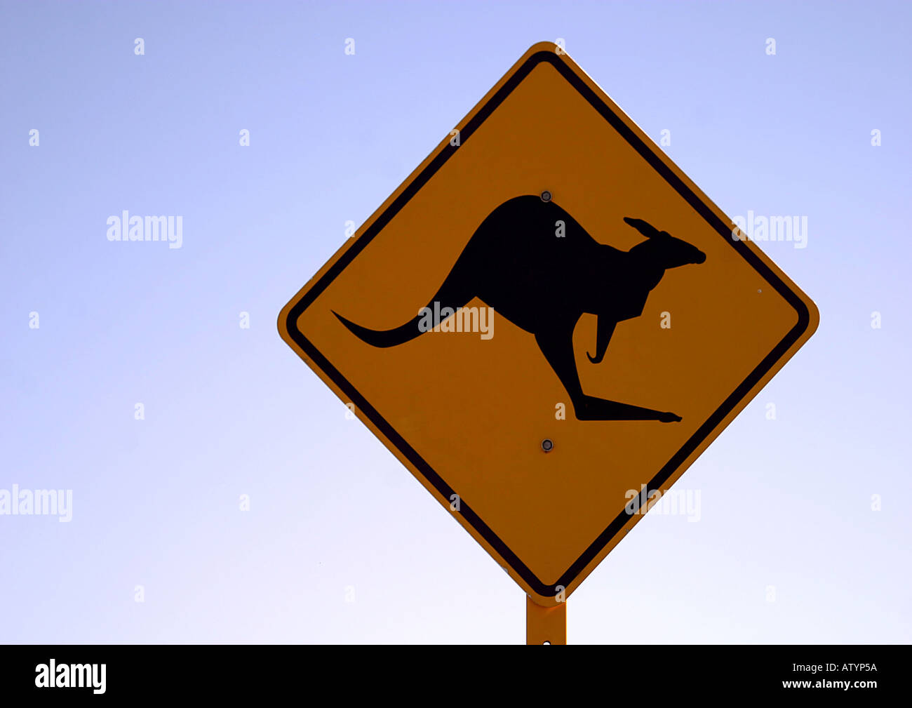Illustrations kangaroo hi-res stock photography and images - Alamy