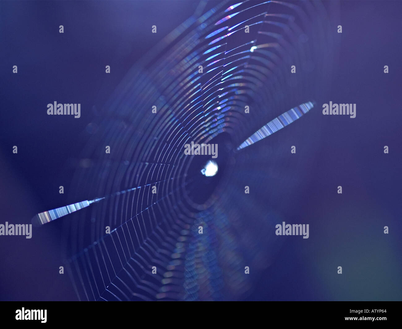 Intricate traps hi-res stock photography and images - Alamy