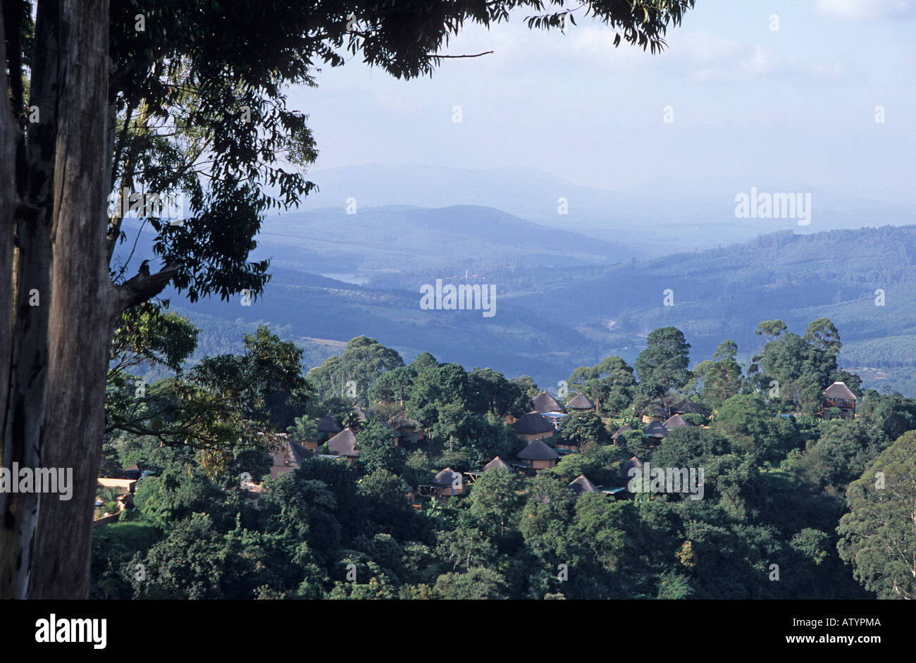 The Magoebaskloof mountains valley Stock Photo - Alamy
