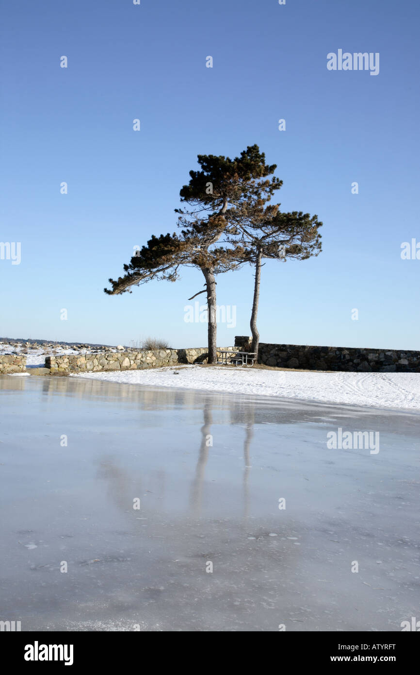 Odiorne Point State Park during the winter months Located in Rye New ...