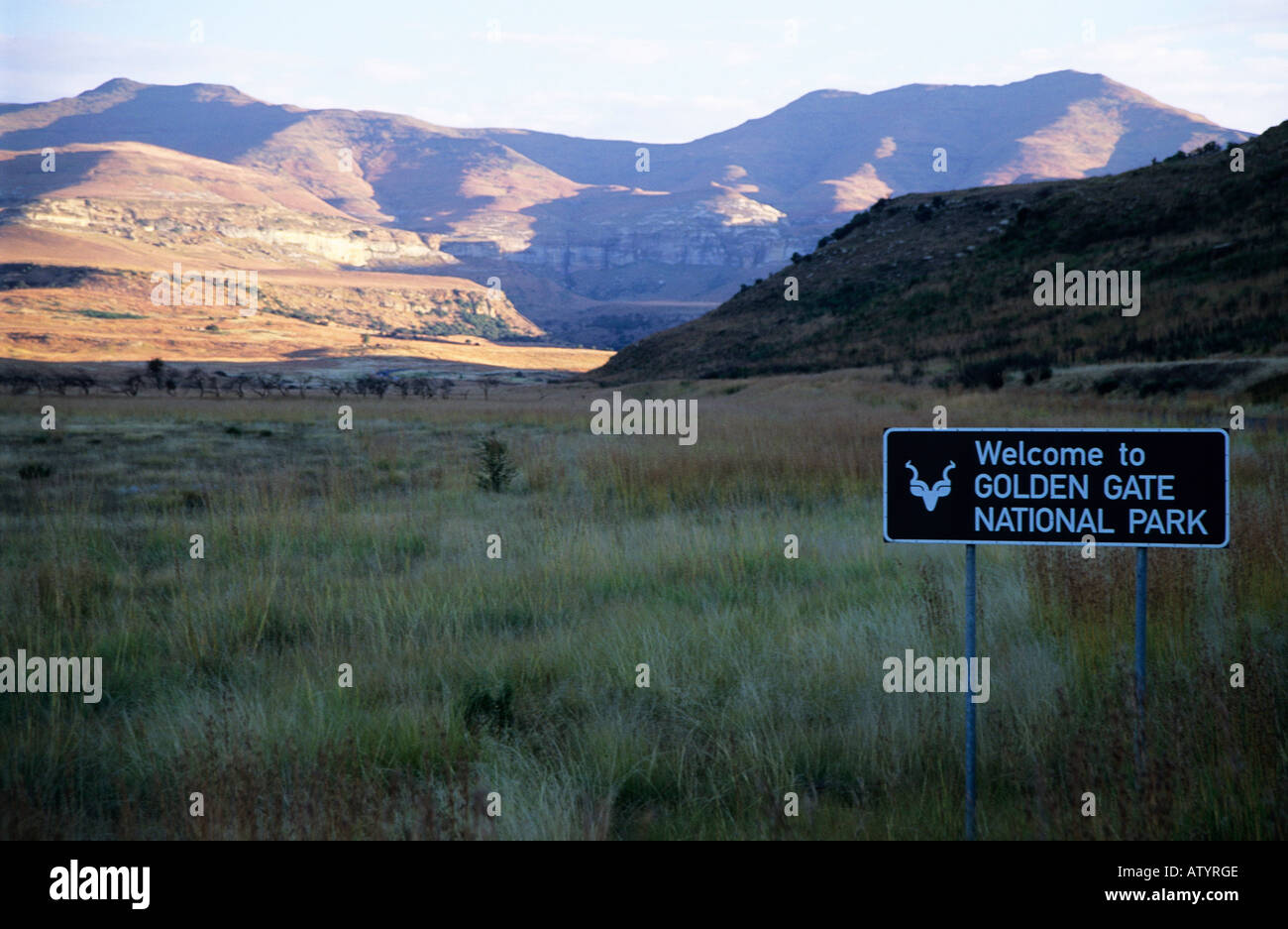 Golden Gate Highlands National Park Stock Photo - Alamy