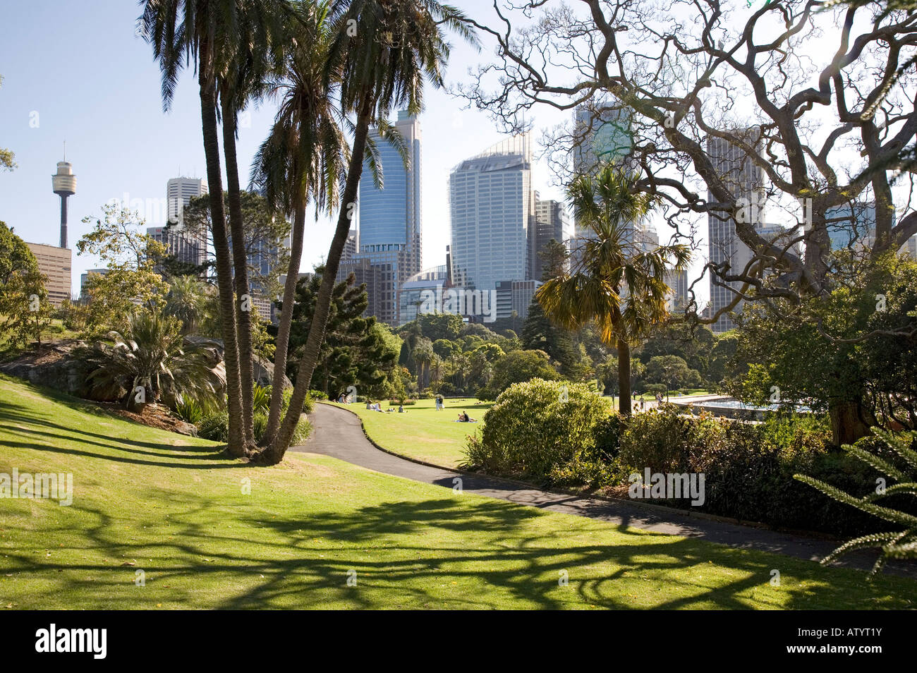 AUSTRALIA SYDNEY ROYAL BOTANIC GARDENS Stock Photo - Alamy