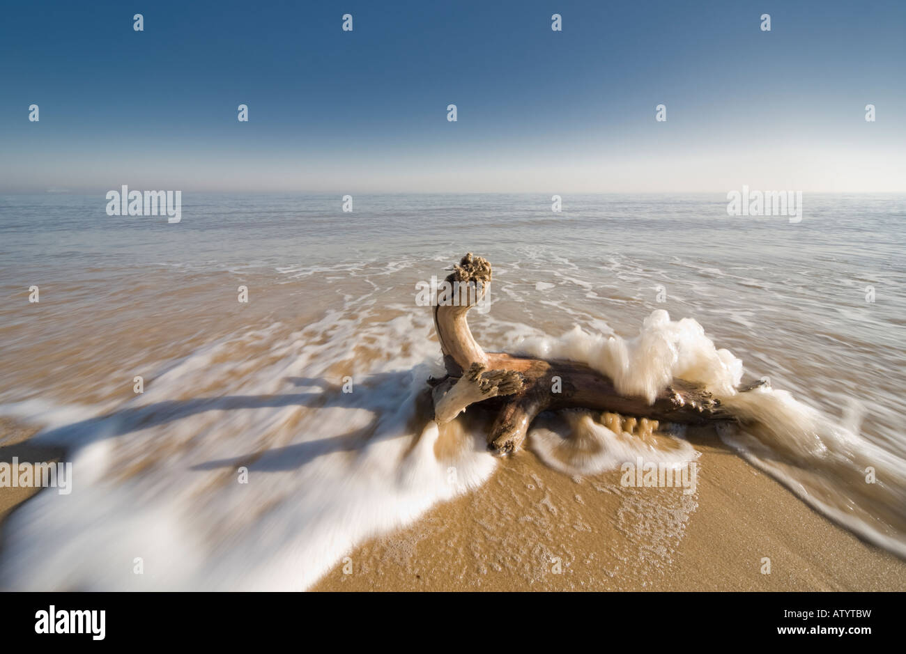 Shingle beach log hi-res stock photography and images - Alamy