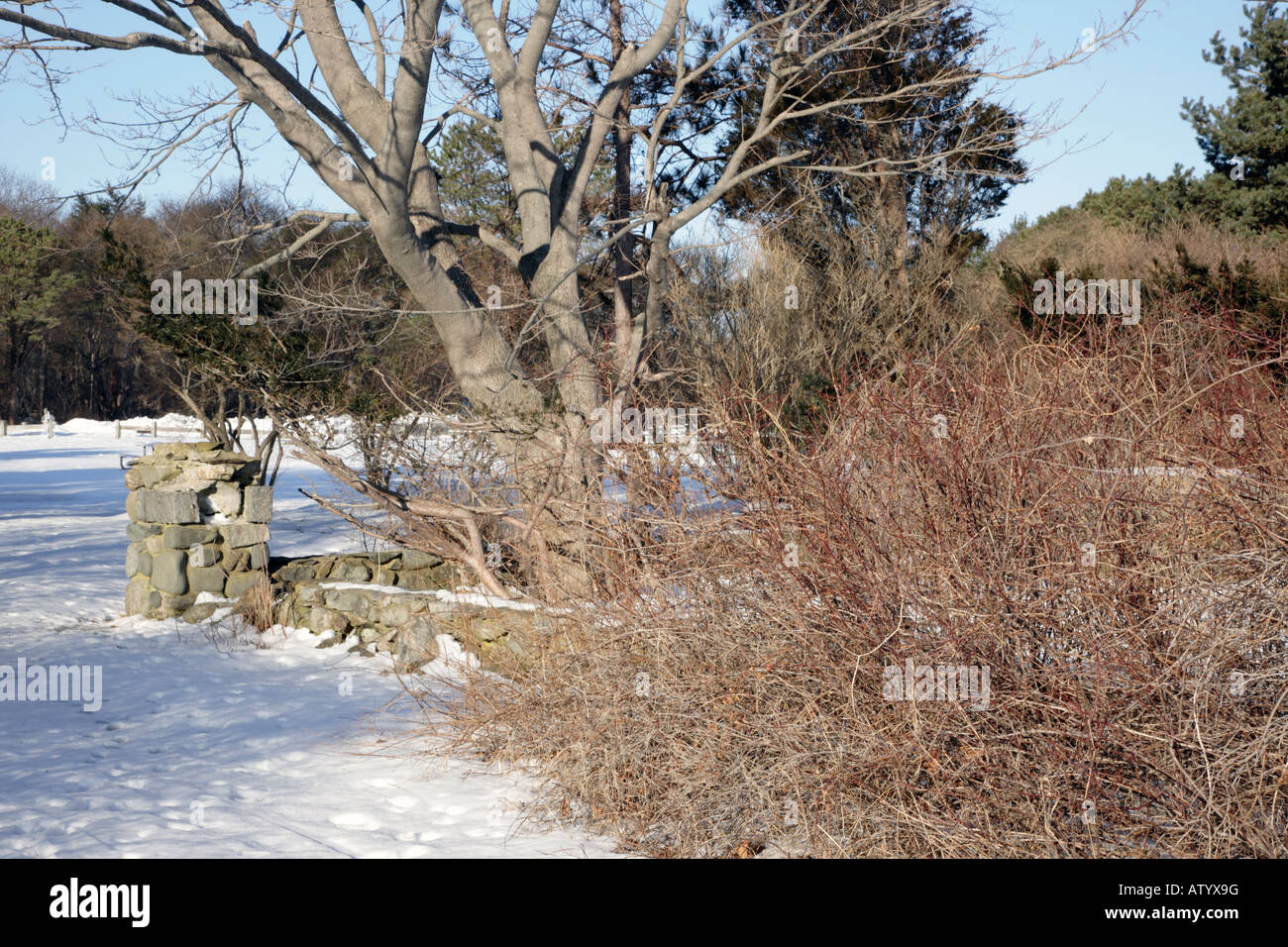 Odiorne Point State Park during the winter months Located in Rye New ...