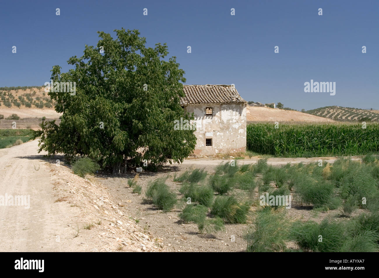 Portuguese farms hi-res stock photography and images - Alamy