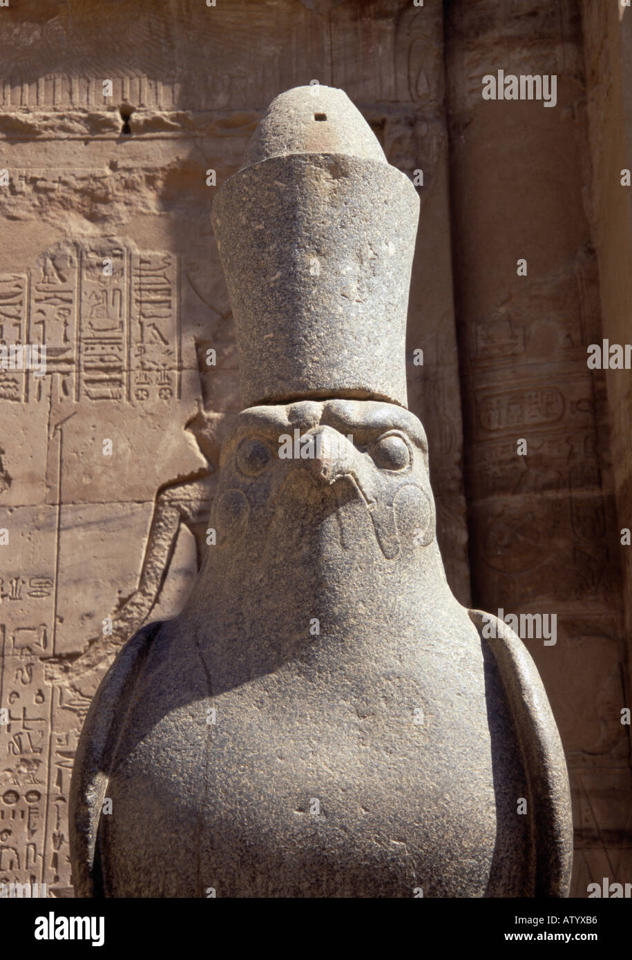 Statue of Horus, Temple of Edfu, Egypt Stock Photo - Alamy