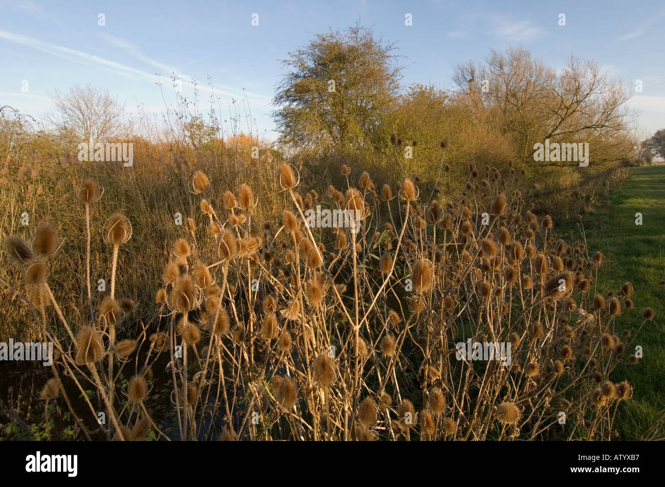 Bottisham hi-res stock photography and images - Alamy