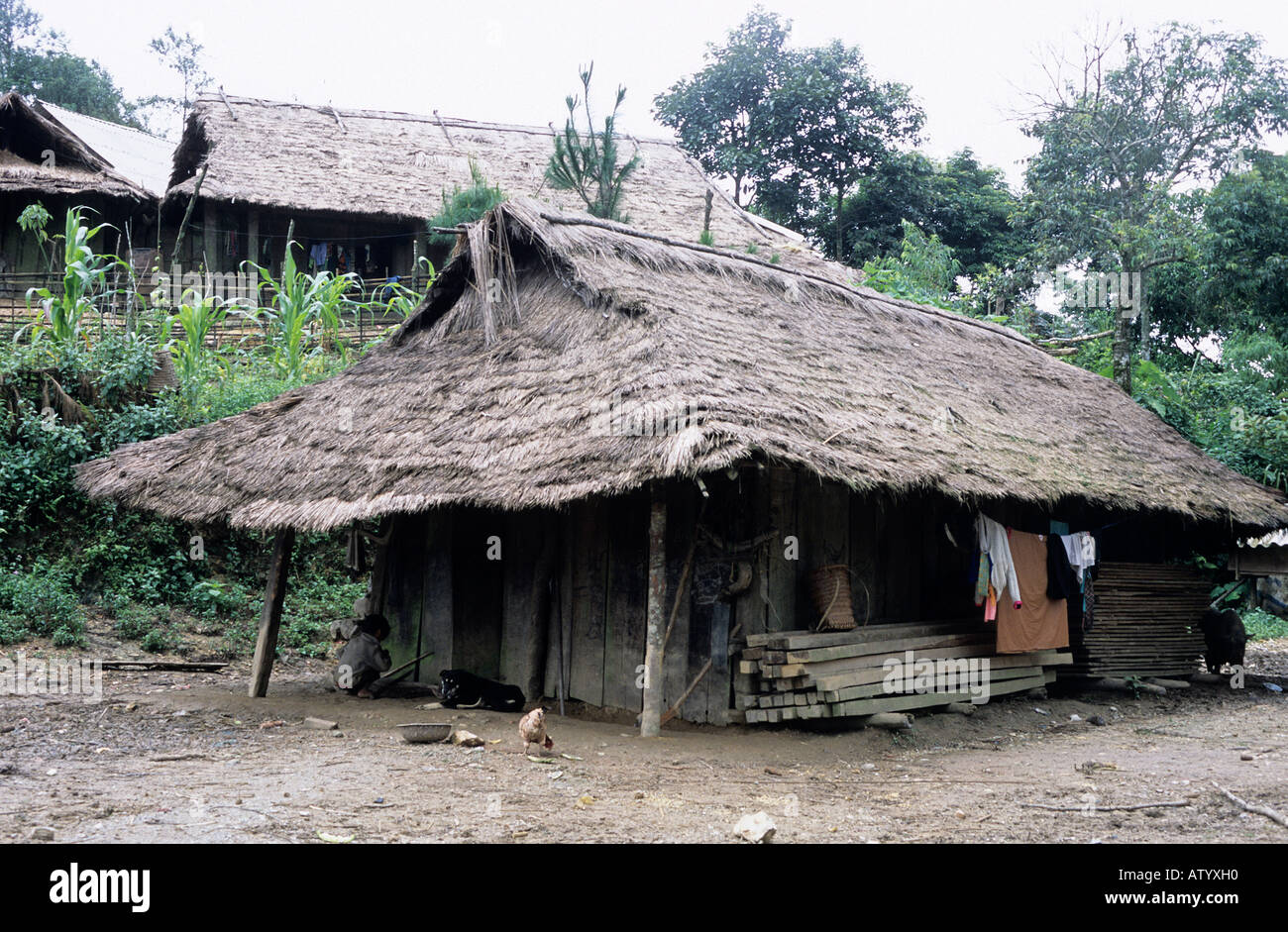 Tuan giao hi-res stock photography and images - Alamy