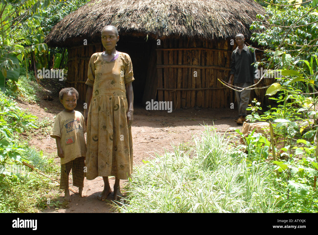 Rural Ethiopian scene: Coffee farmers and thatched houses Ethiopia ...