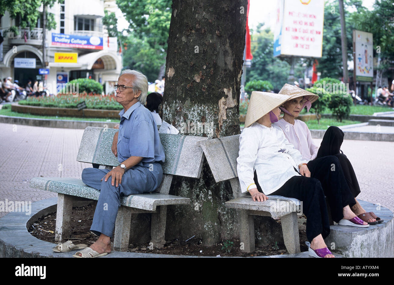 Elderly people relaxing sitting on benches around a tree by the south ...