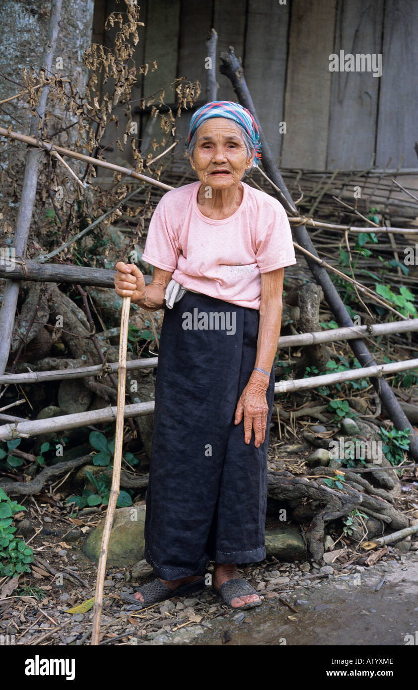 Stood on stick hi-res stock photography and images - Alamy
