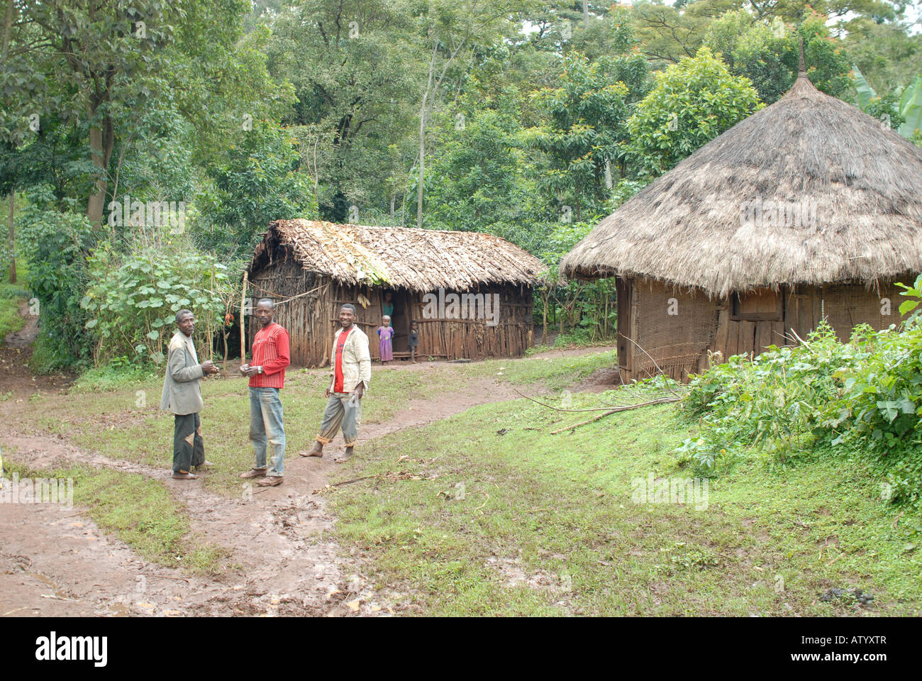 Rural Ethiopian scene: Coffee farmers and thatched houses Ethiopia ...
