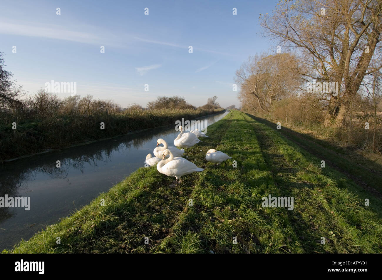 Bulbeck High Resolution Stock Photography and Images - Alamy