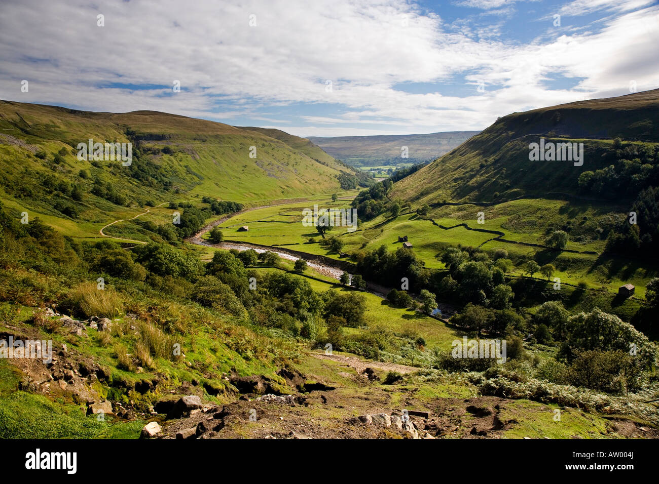 The view south from Crackpot Hall Upper Swaledale Yorkshire Dales ...