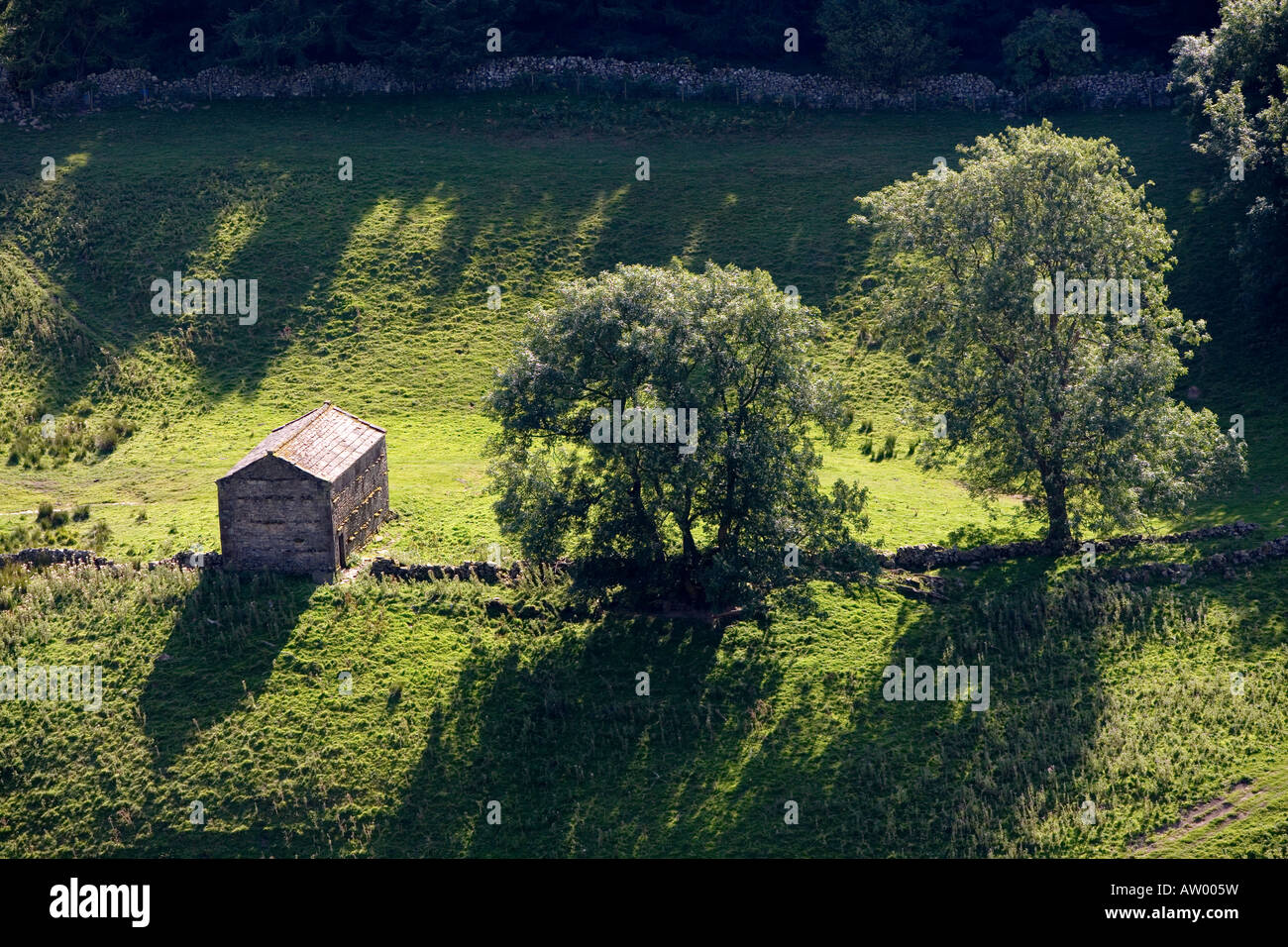 The view south from Crackpot Hall Upper Swaledale Yorkshire Dales ...