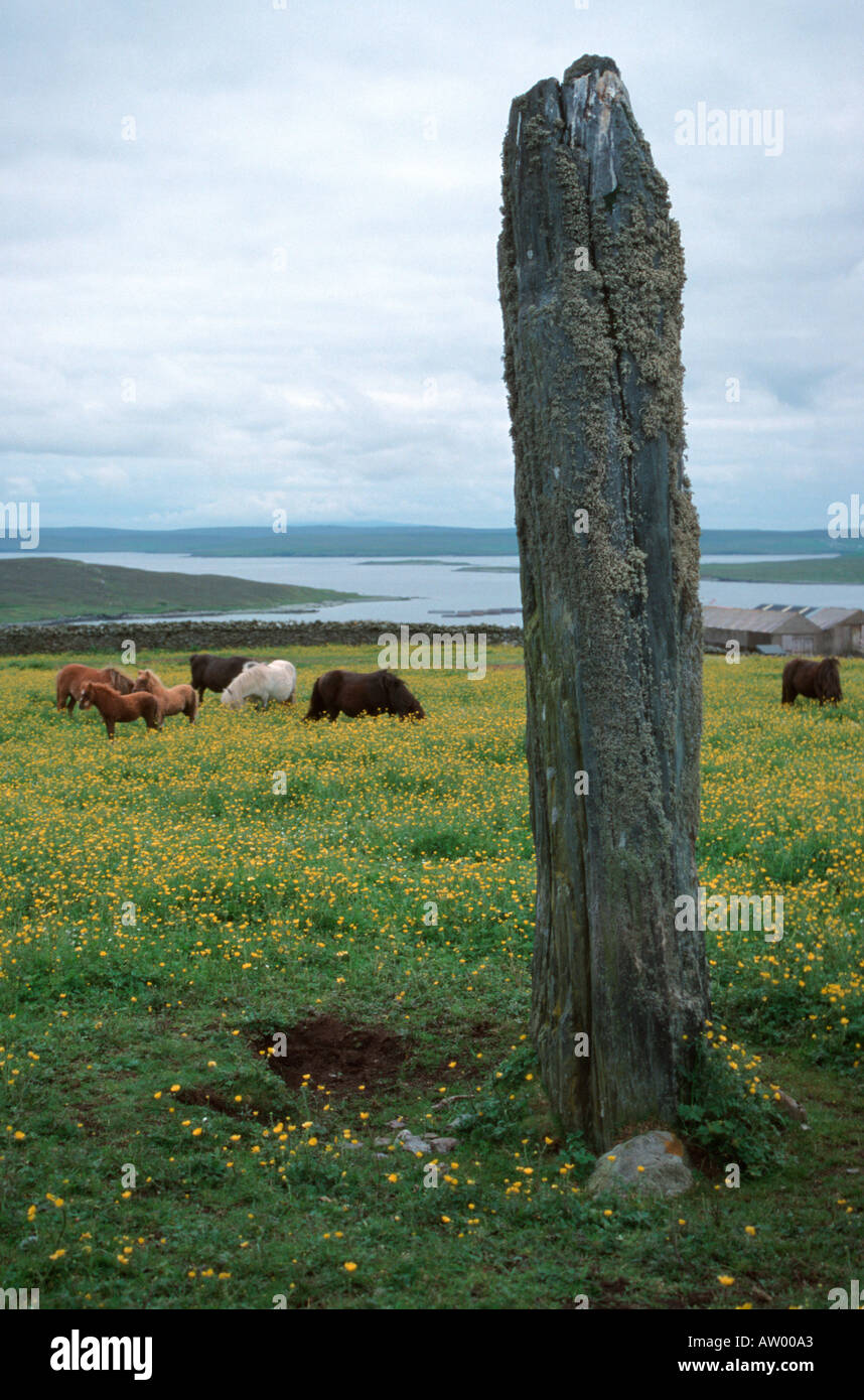 Standing Stone at Unst Shetland Islands Scotland UK United Kingdom ...