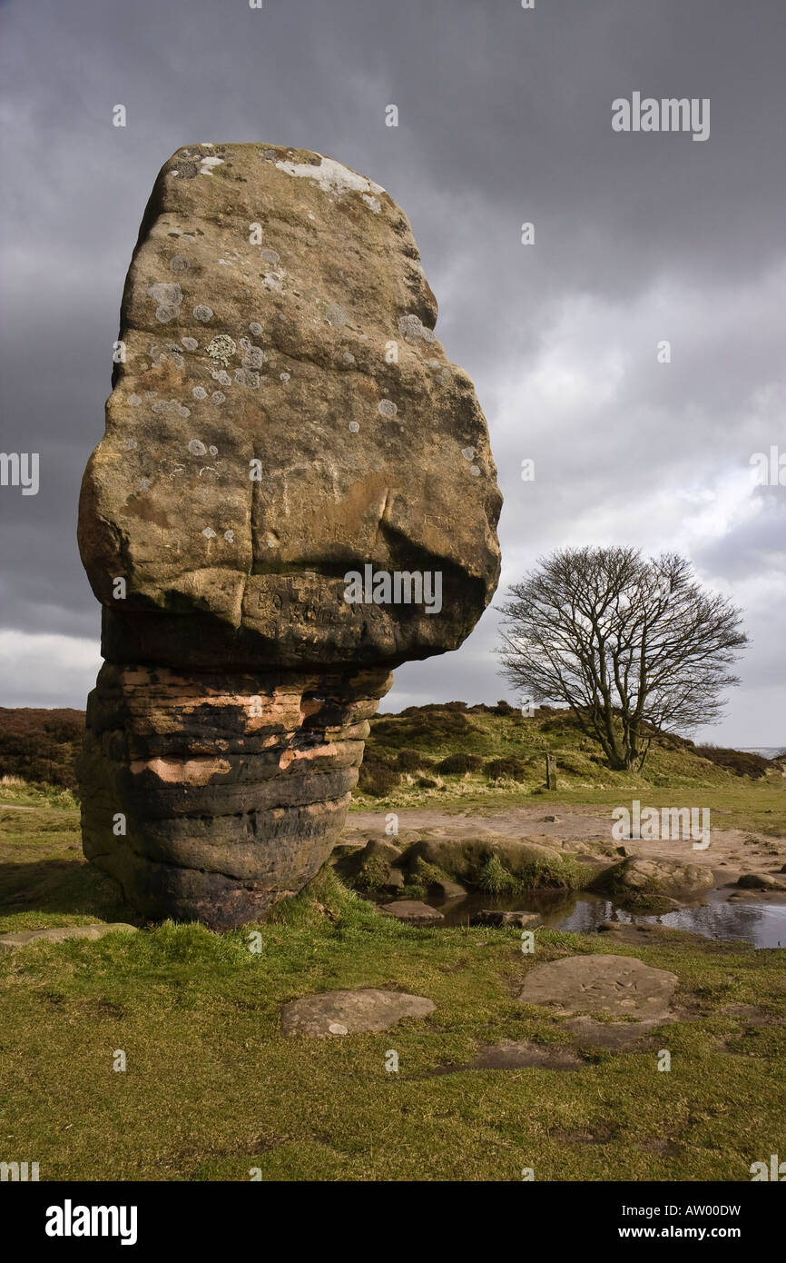 Cork stone hi-res stock photography and images - Alamy