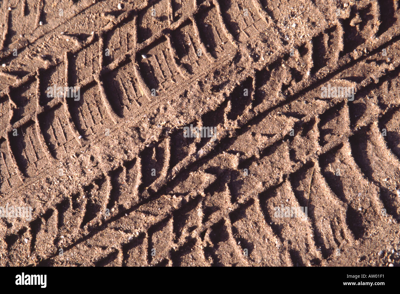 Tractor tracks in mud Stock Photo - Alamy
