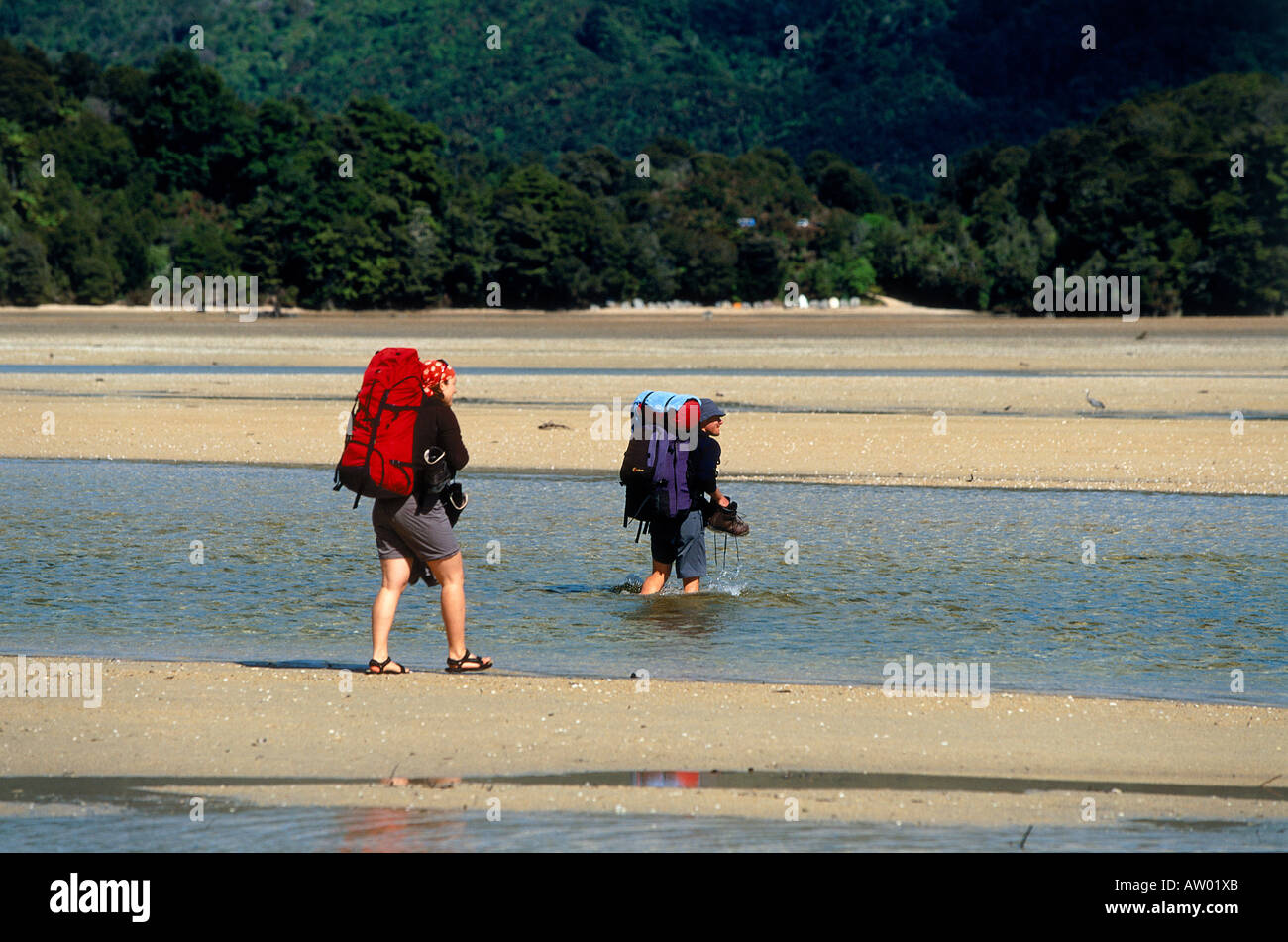 Awaroa river hi-res stock photography and images - Alamy