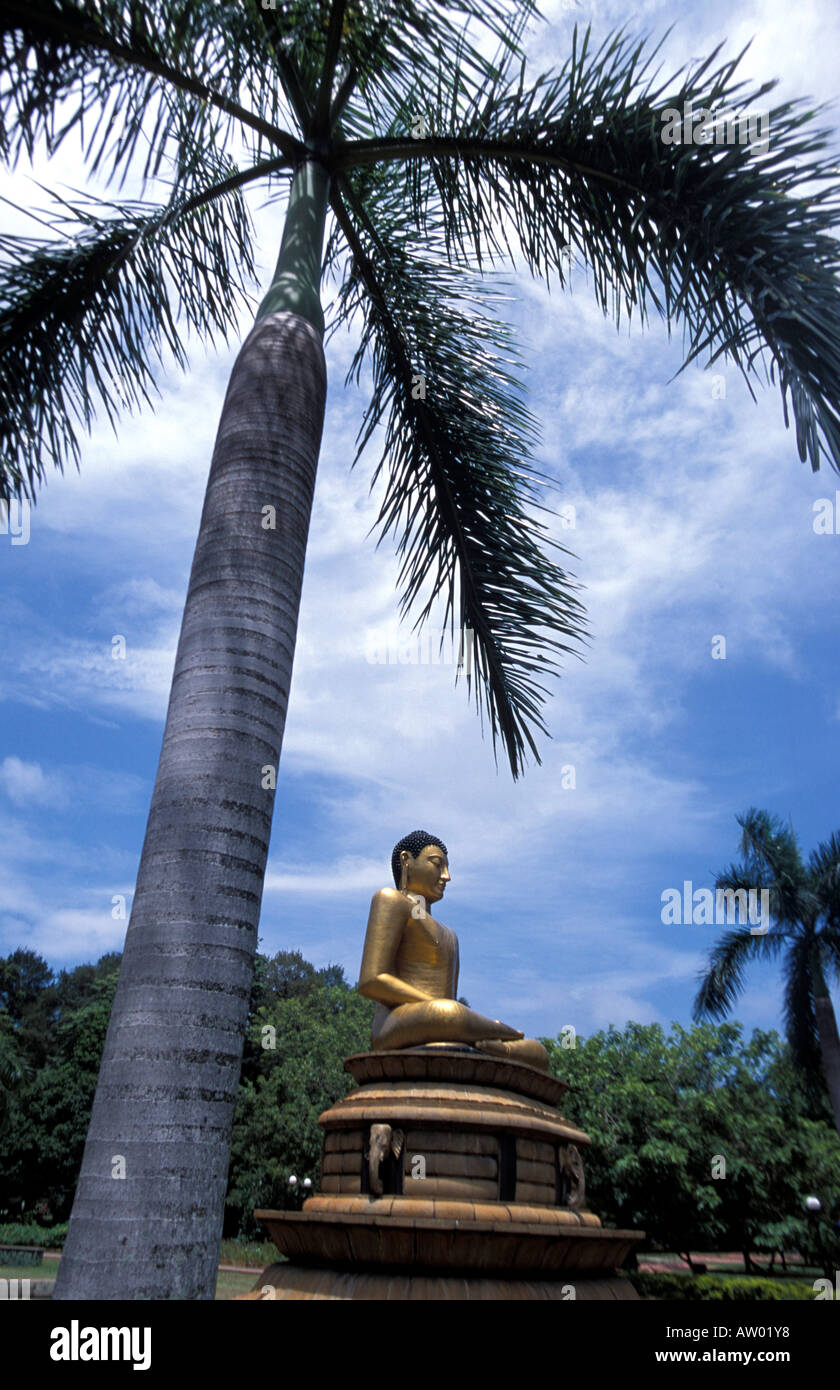 Buddha statue Victoria park Colombo Sri Lanka Asia Stock Photo - Alamy