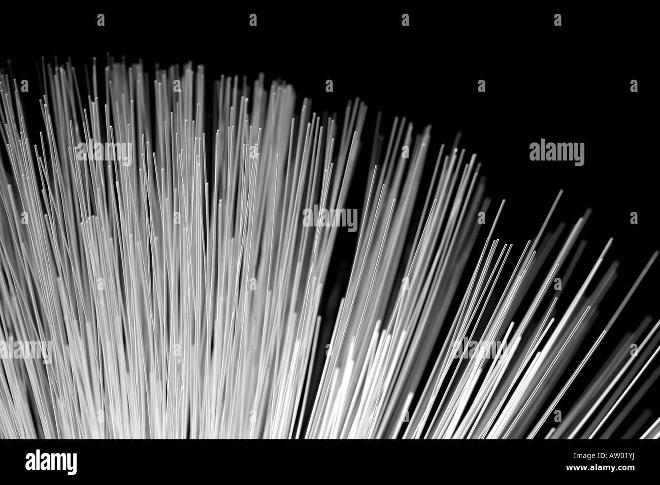 Fibre optic cables Black and White Stock Photos & Images - Alamy