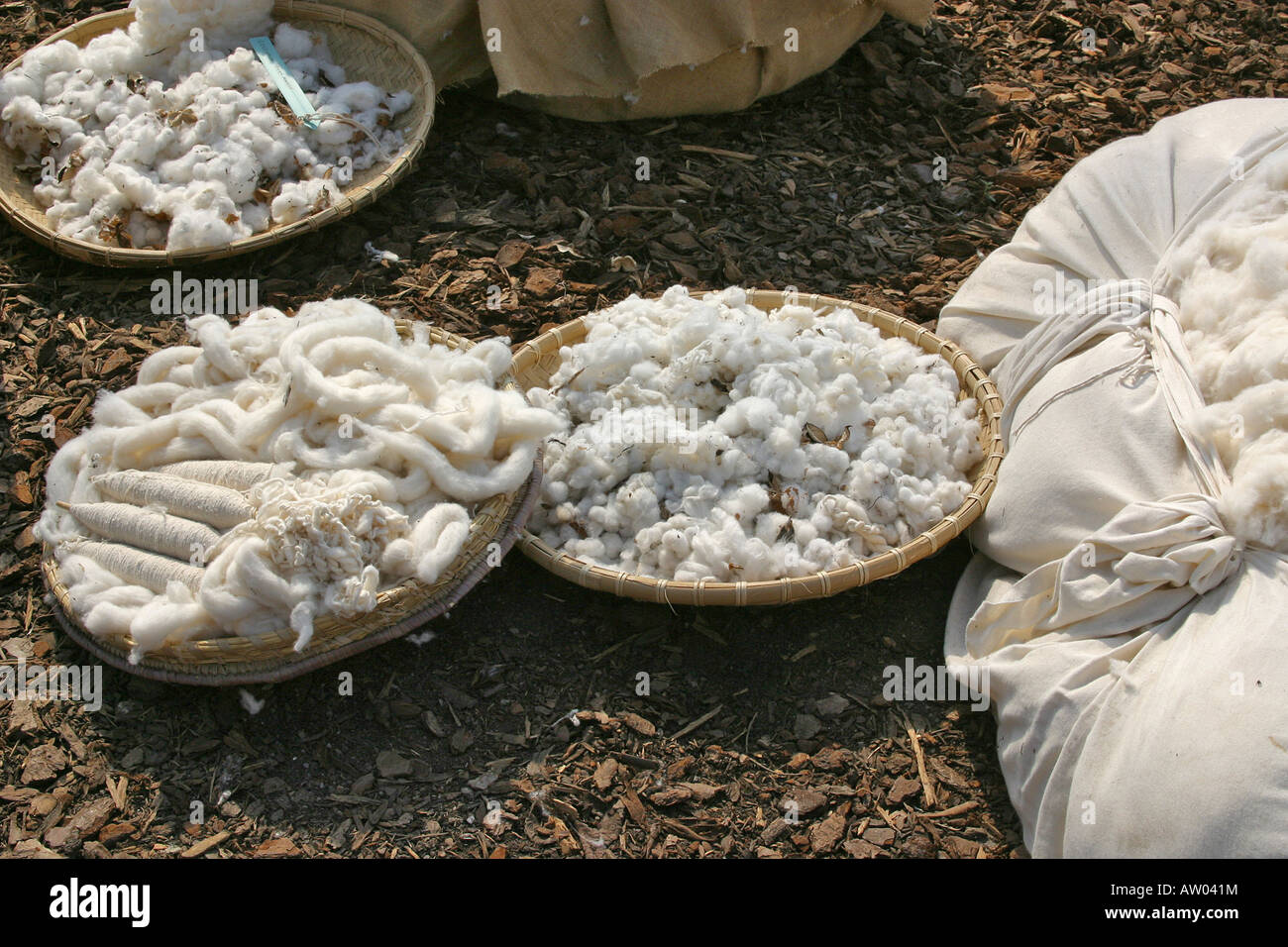 Bag of raw cotton in trays white natural Cotton 31312 Stock Photo - Alamy