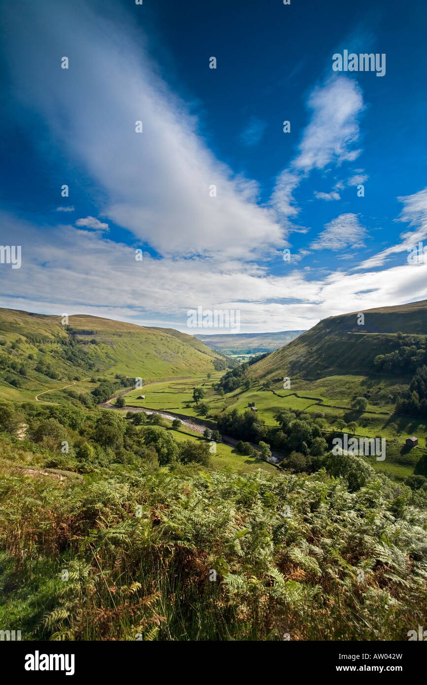 The view south from Crackpot Hall Upper Swaledale Yorkshire Dales ...