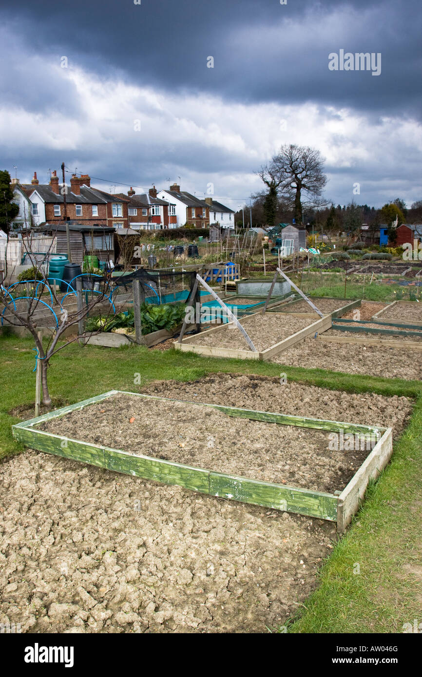 Empty vegetable bed on inner city allotment plot Stock Photo - Alamy