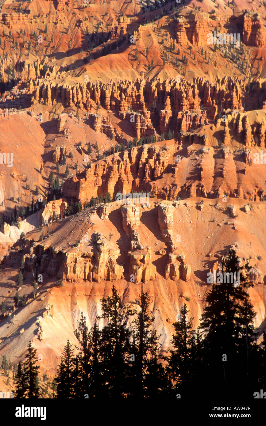 Morning light on the Cedar Breaks Amphitheater from Chessman Ridge ...