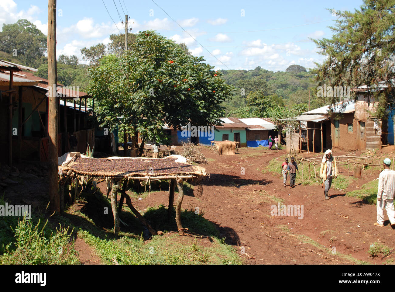 Haro village Ethiopia. A typical Ethiopian rural scene Stock Photo - Alamy
