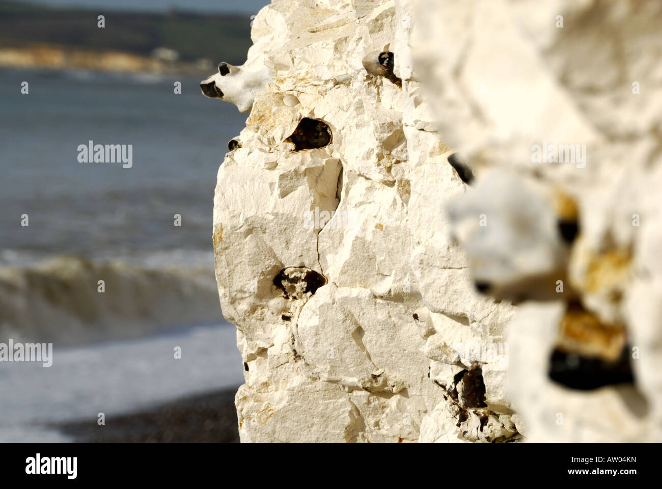 Close up of chalk cliff face in Sussex Stock Photo - Alamy