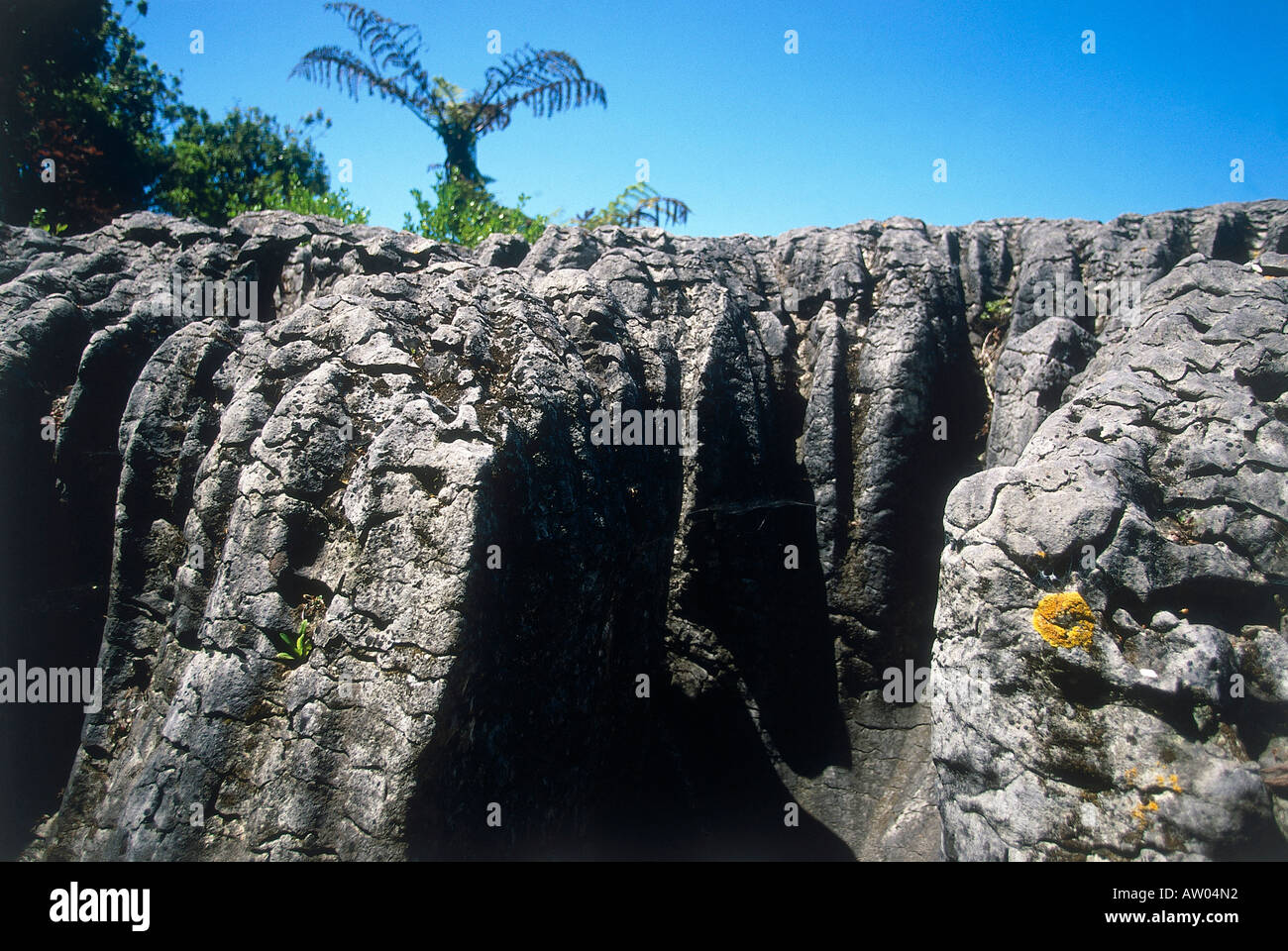 Labyrinth Rocks Takaka Golden Bay Stock Photo - Alamy